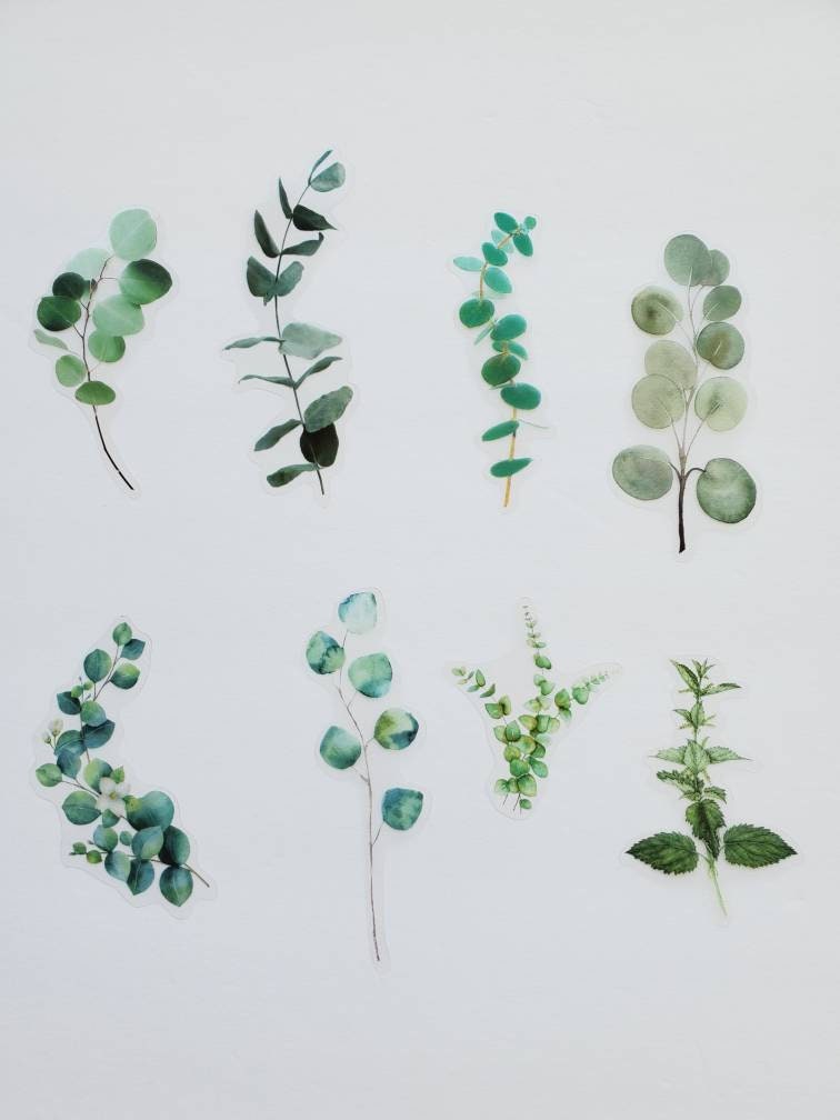 40pcs Eucalyptus Transparent Stickers Flower Stickers - Etsy