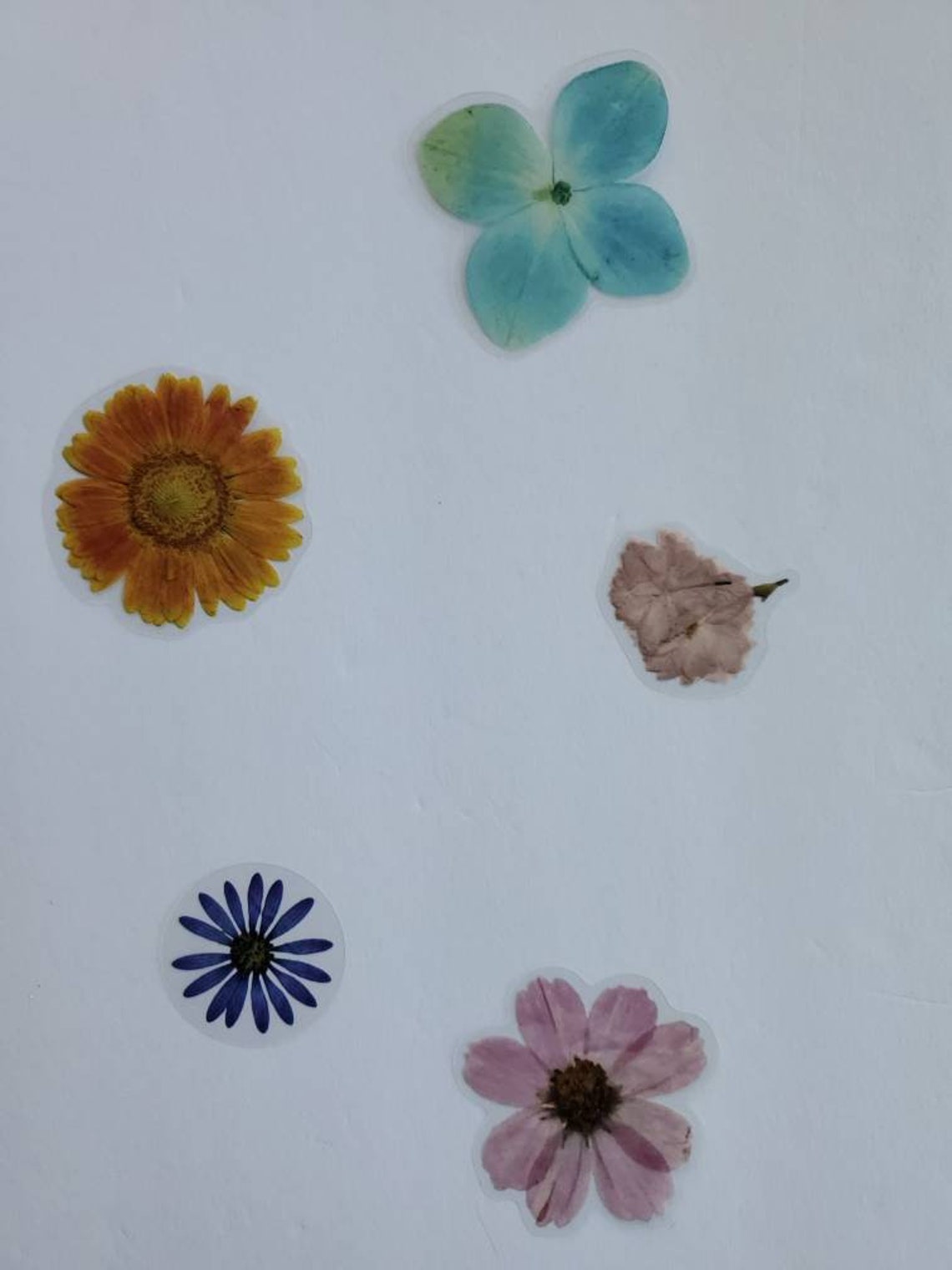 40pcs Flower transparent stickers flower stickers decorative - Etsy.de