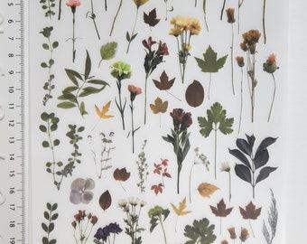 Rub on Transfer Flower Leaves Stickers Dried Flowers Scrapbooking Junk ...