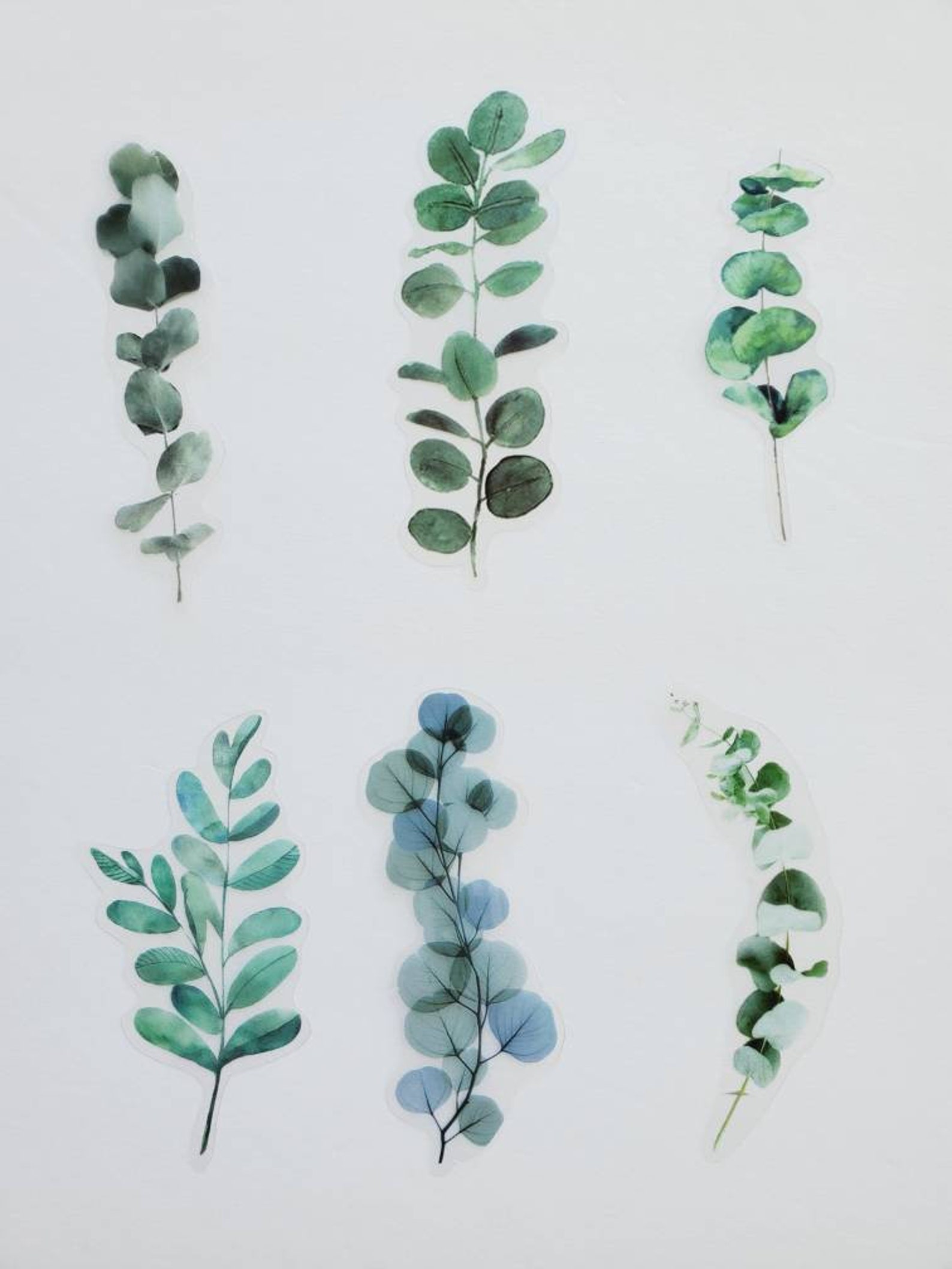 40pcs Eucalyptus Transparent Stickers Flower Stickers - Etsy