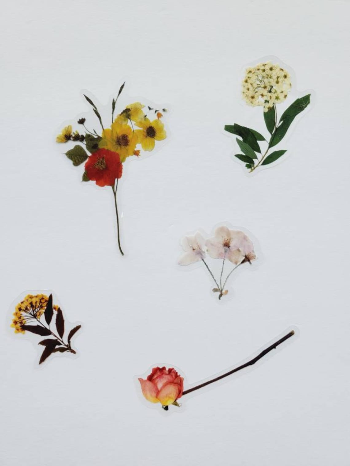 40pcs Fleur autocollants transparents autocollants de fleurs | Etsy