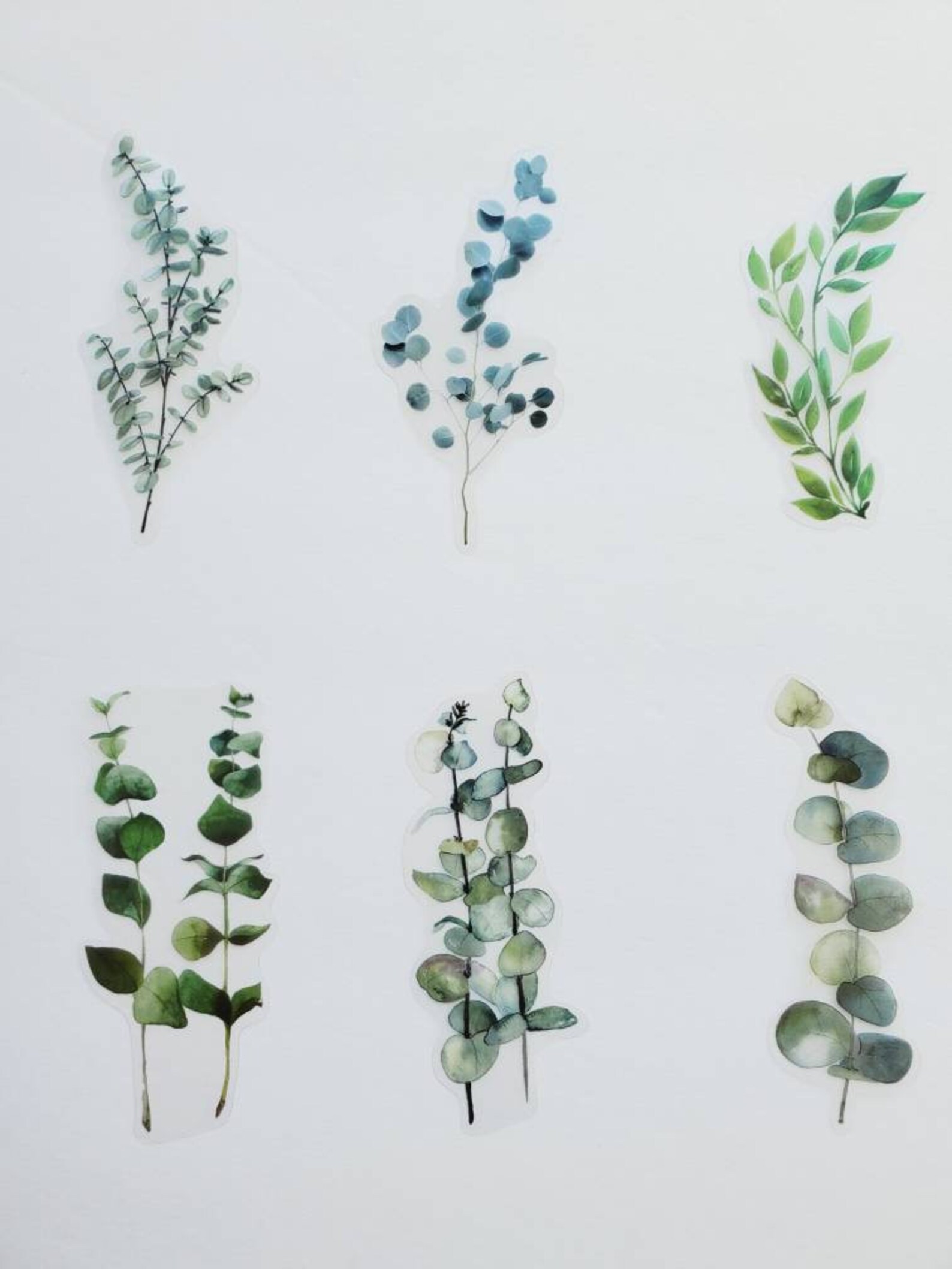 40pcs Eucalyptus Transparent Stickers Flower Stickers - Etsy