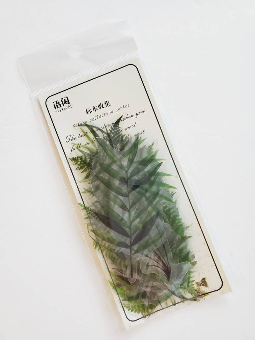 40pcs Large Leaves Transparent Stickers Plant Stickers Decorative ...