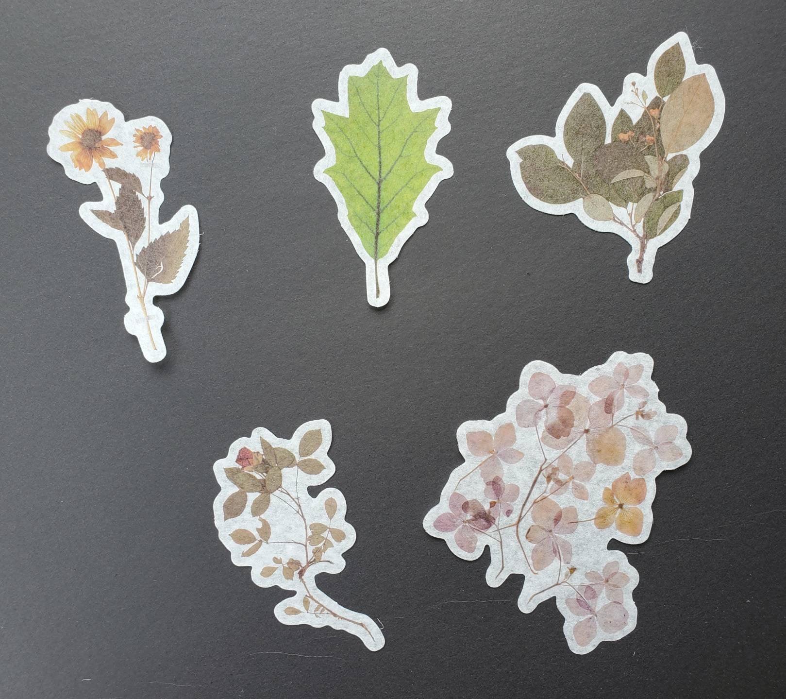 60 Stück Blumen Aufkleber Washi Pflanzen Sticker Blätter | Etsy