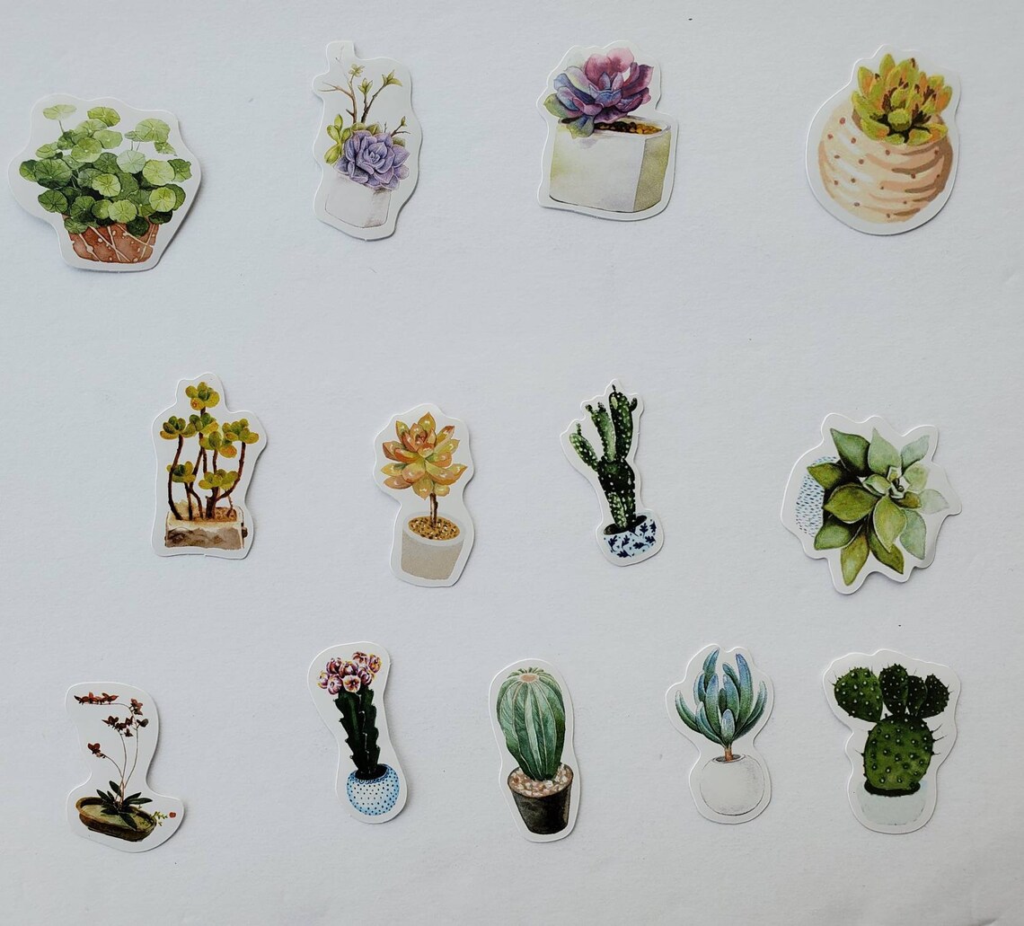50pcs Flower Stickers Plant Stickers Succulent Stickers Cactus ...