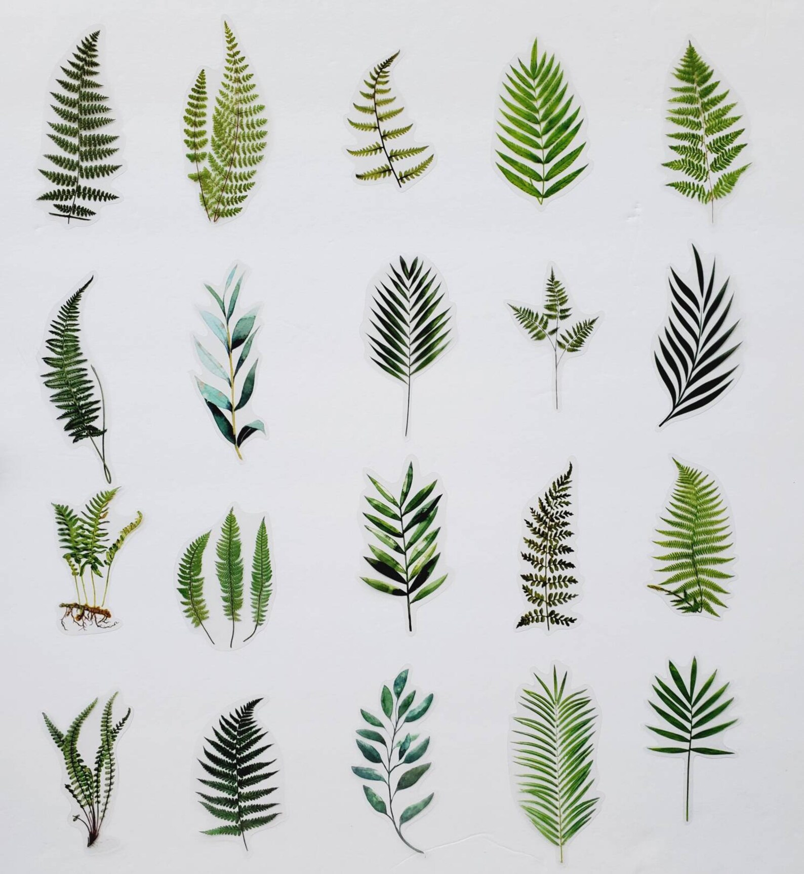 40pcs Large Leaves Transparent Stickers Plant Stickers - Etsy