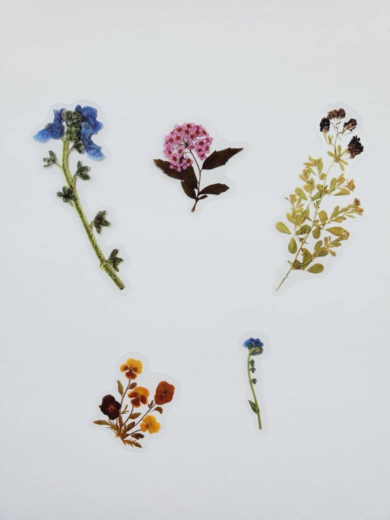 40pcs Fleur autocollants transparents autocollants de fleurs | Etsy