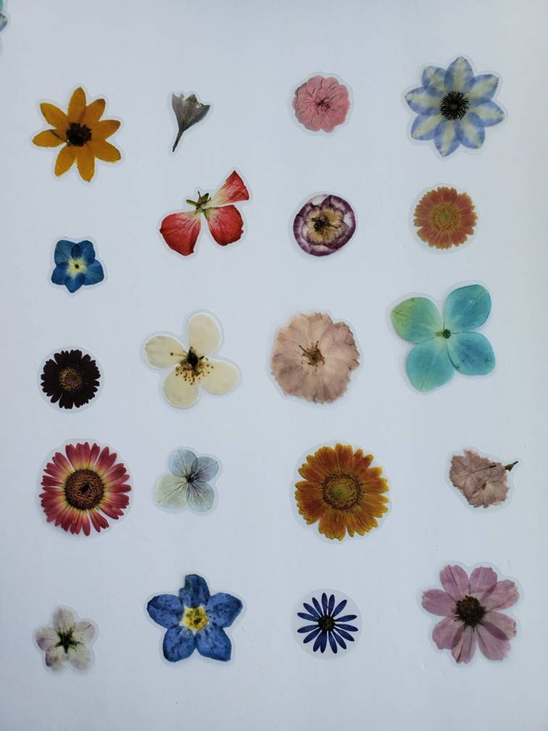 40pcs Flower Transparent Stickers Flower Stickers Decorative ...