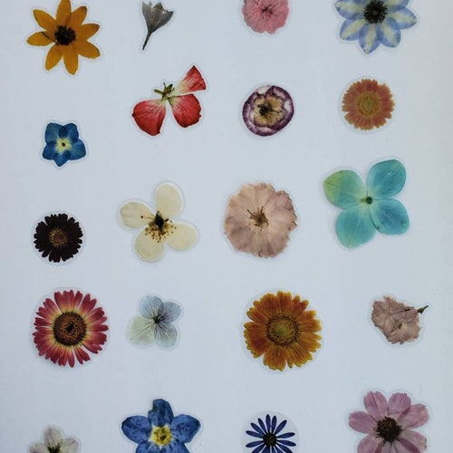 40pcs Flower Transparent Stickers Flower Plant Stickers - Etsy