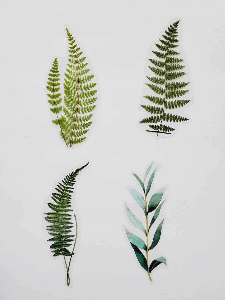 40pcs Large Leaves Transparent Stickers Plant Stickers - Etsy