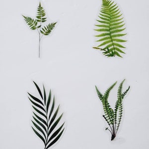 40pcs Large Leaves Transparent Stickers Plant Stickers Decorative ...