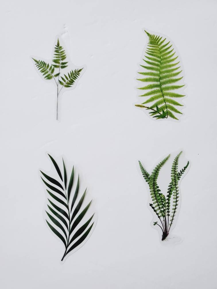 40pcs Large Leaves Transparent Stickers Plant Stickers - Etsy