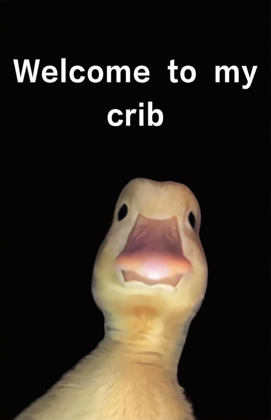 Welcome to My Crib Duck Poster: Funny Dorm Room Art Print - Etsy
