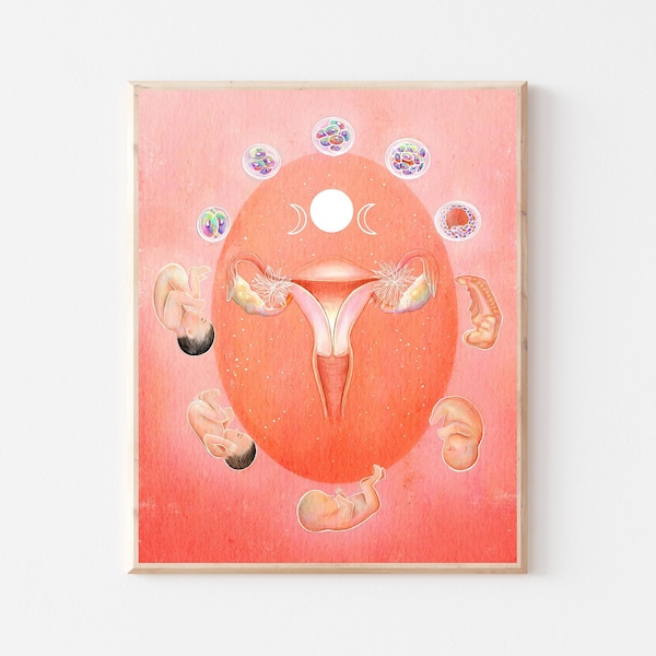 Fetus Art - Etsy
