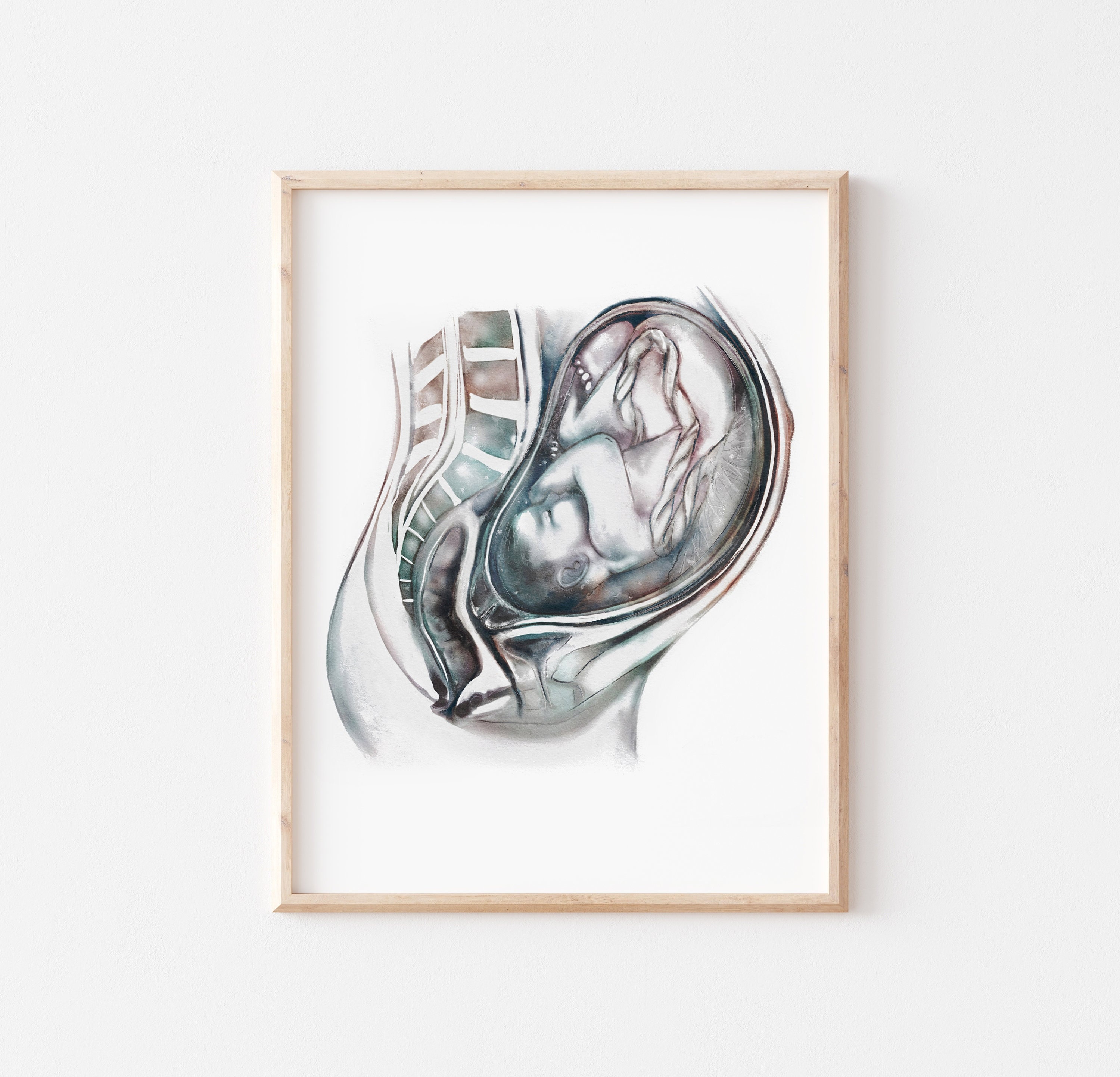 Pregnancy Anatomy Fertility and Reproductive Art Fetal Art - Etsy