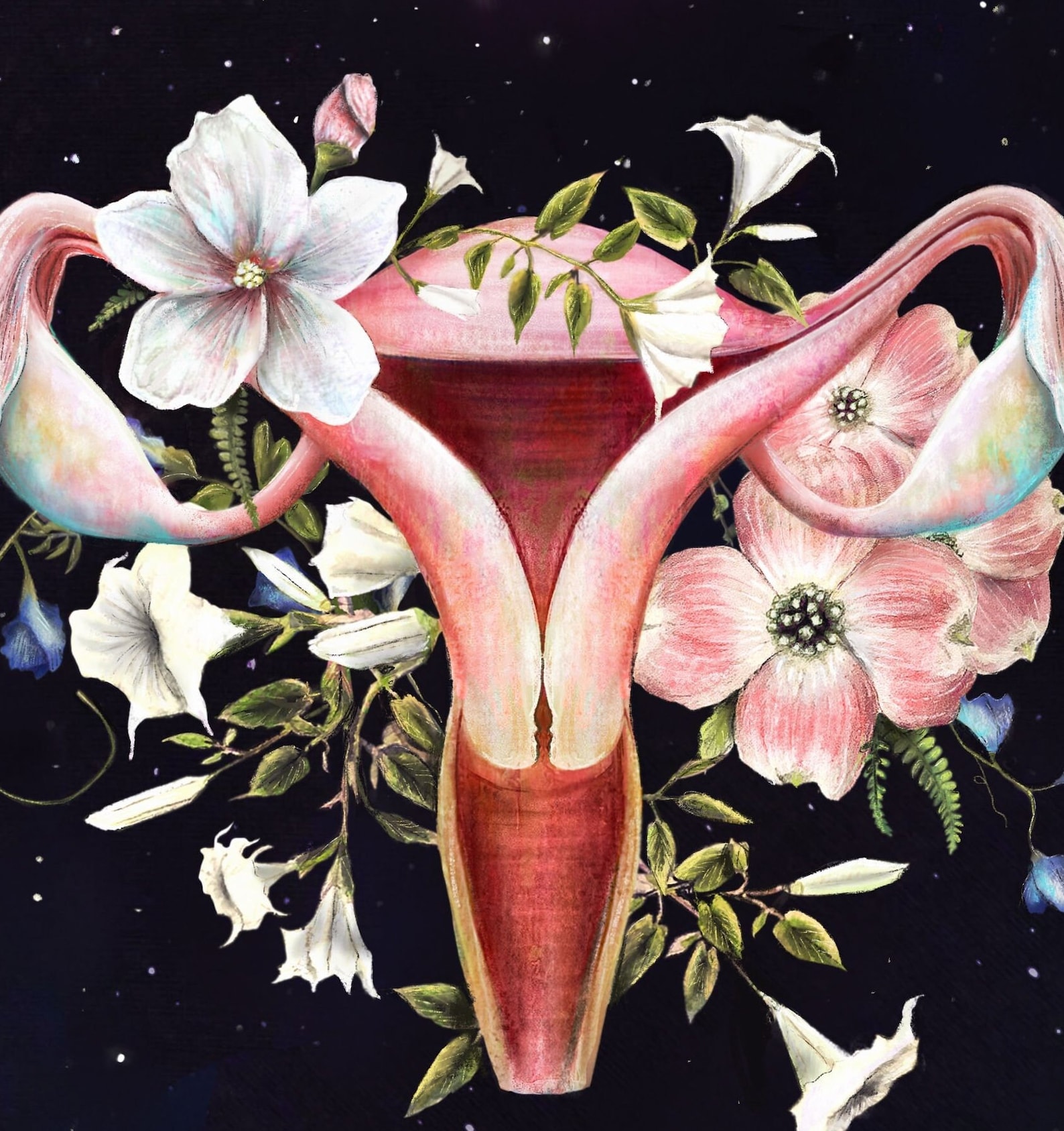 Floral Uterus, Uterus Anatomy, Art Print for Women's Healthcare ...