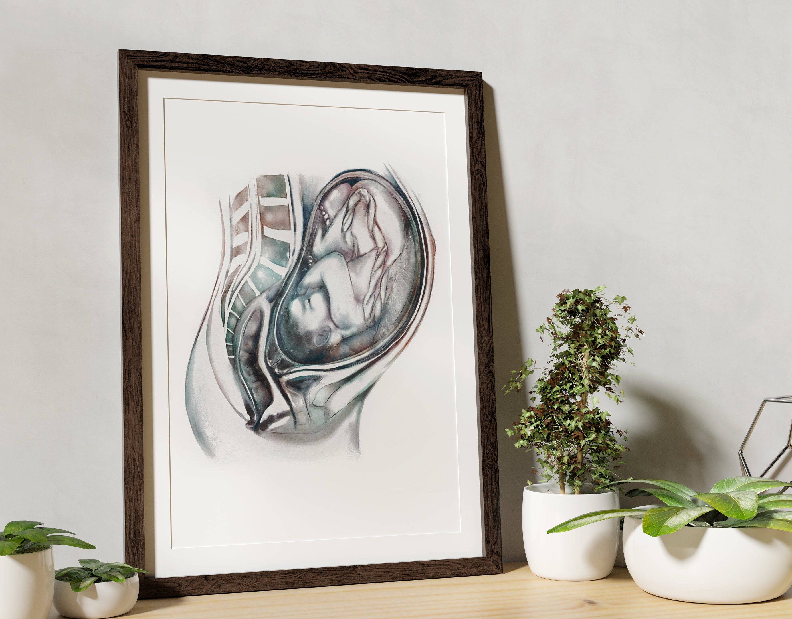 Pregnancy Anatomy Fertility and Reproductive Art Fetal Art - Etsy