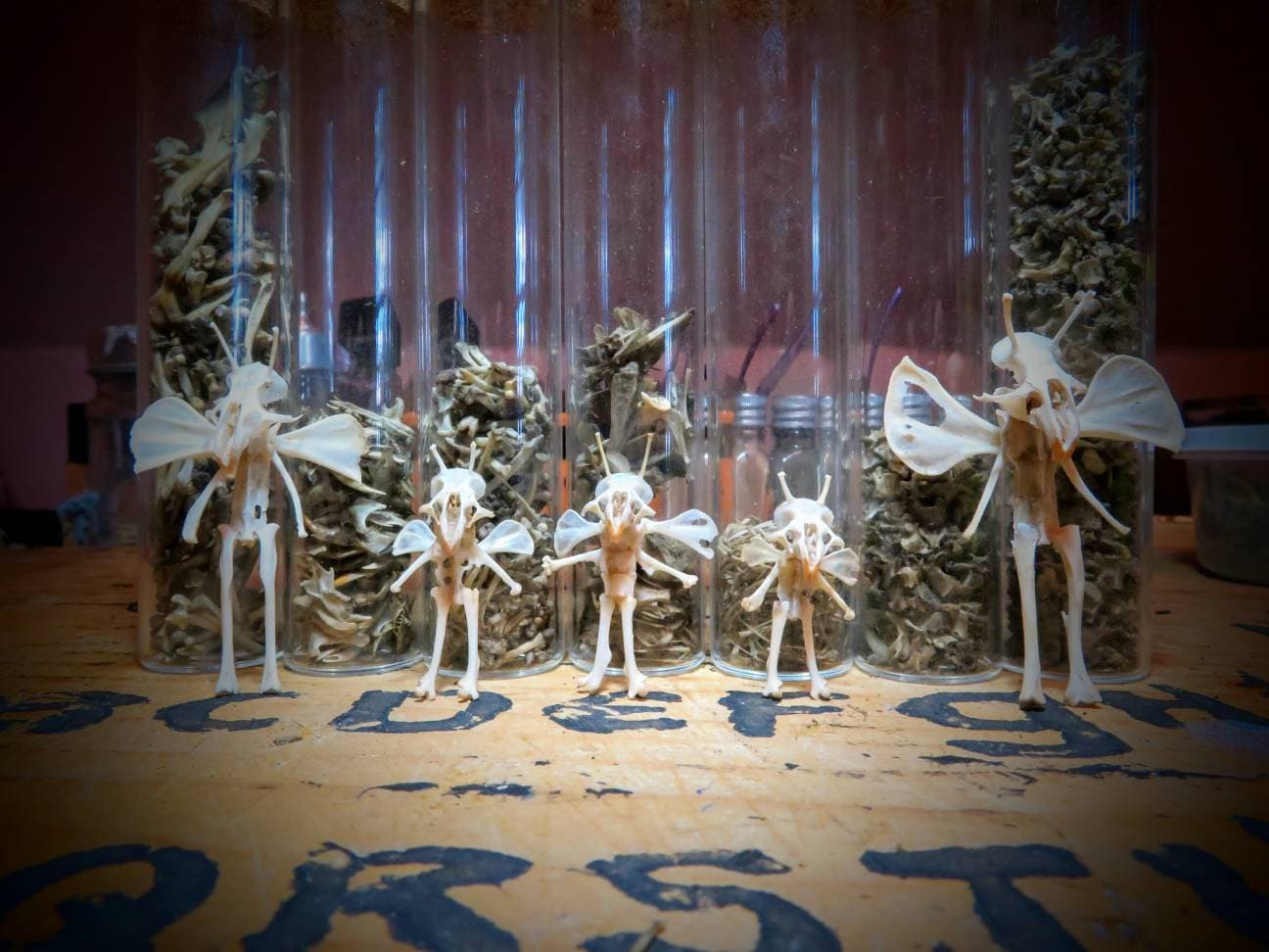 Bone Fairies | Etsy