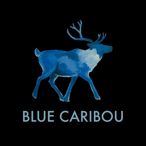 BlueCaribouStudio - Etsy