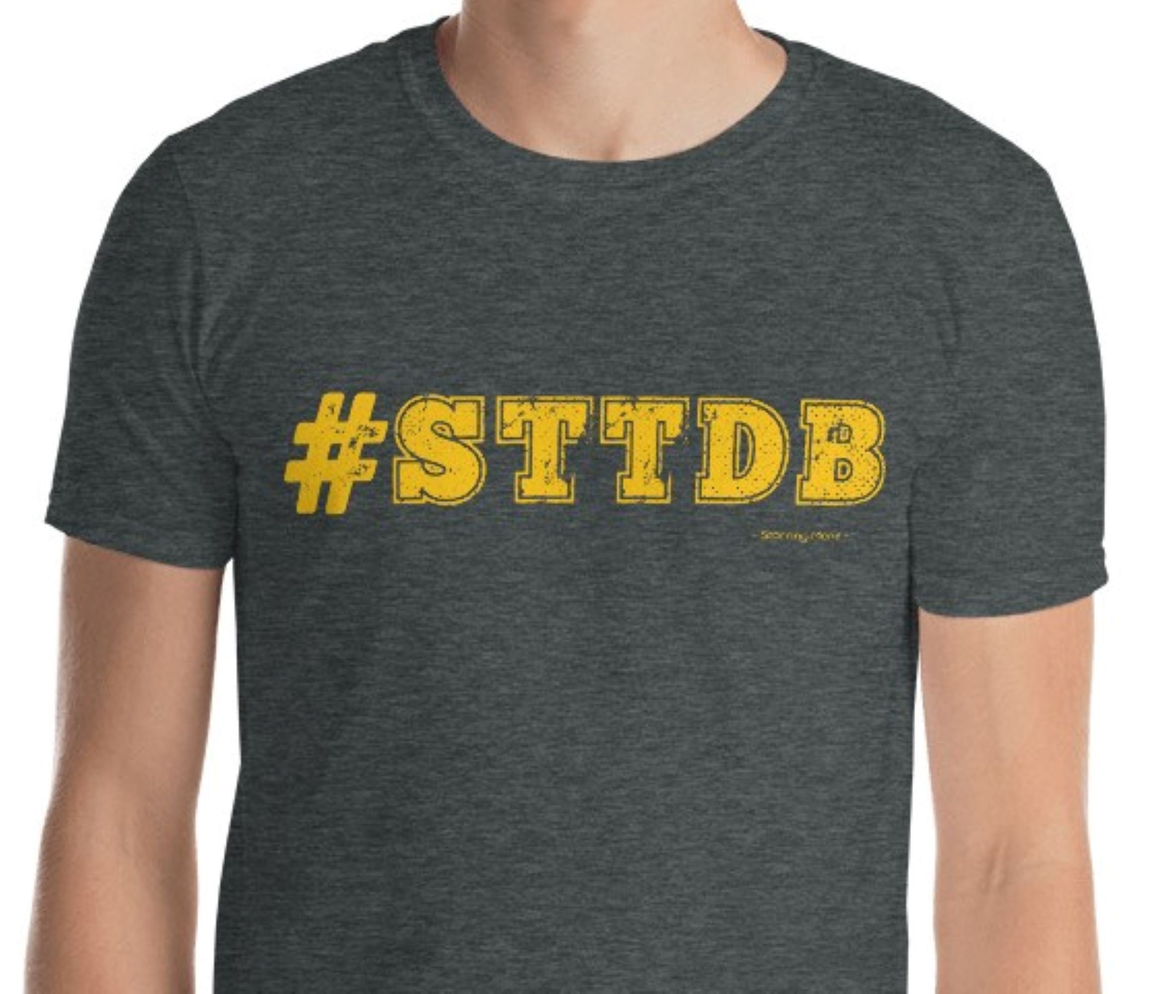 STTDB Tee, Purple and Gold Shirt, Louisiana Tshirt, Louisiana Shirt ...
