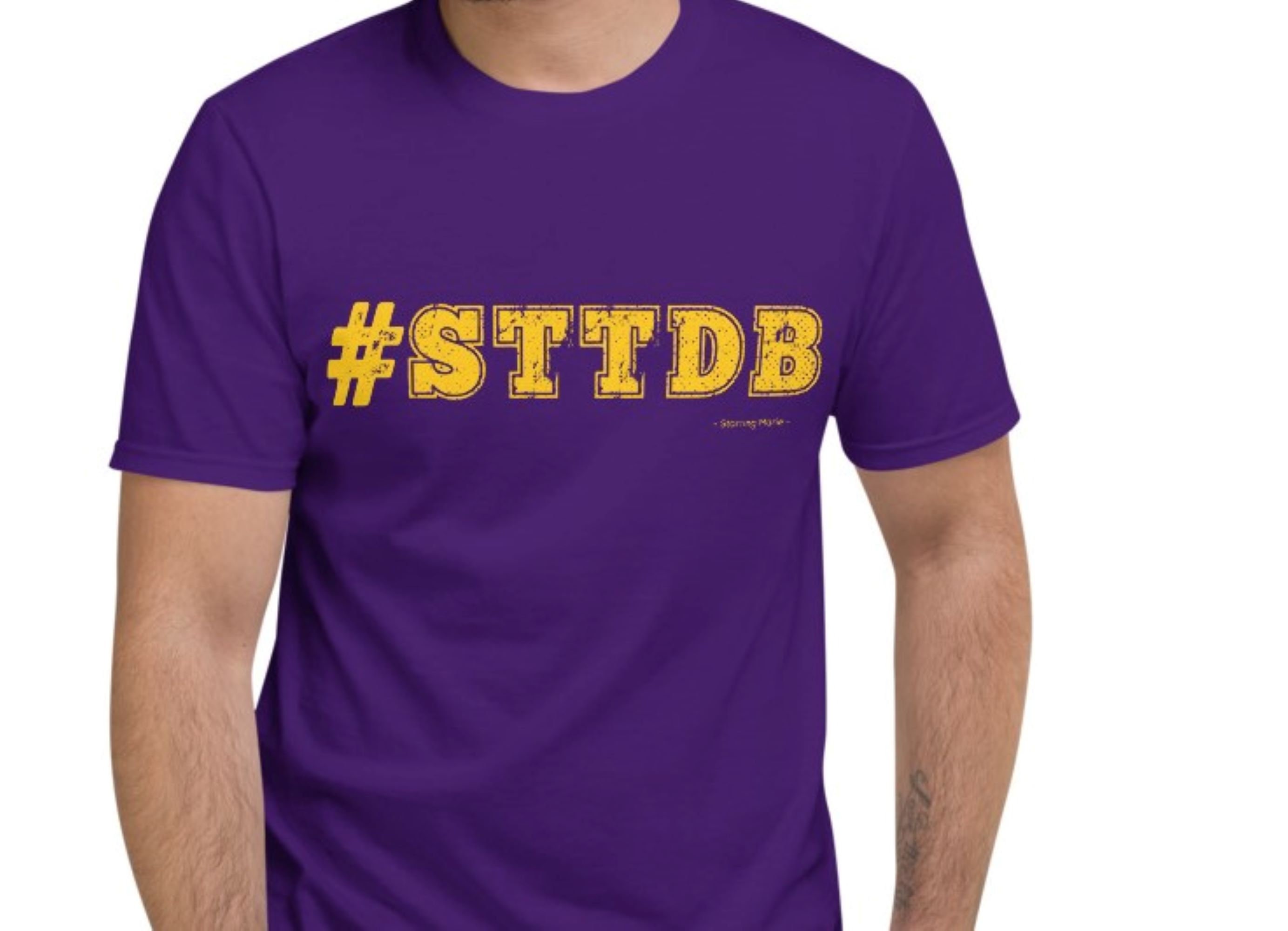 STTDB Tee Purple and Gold shirt Louisiana Tshirt Louisiana | Etsy