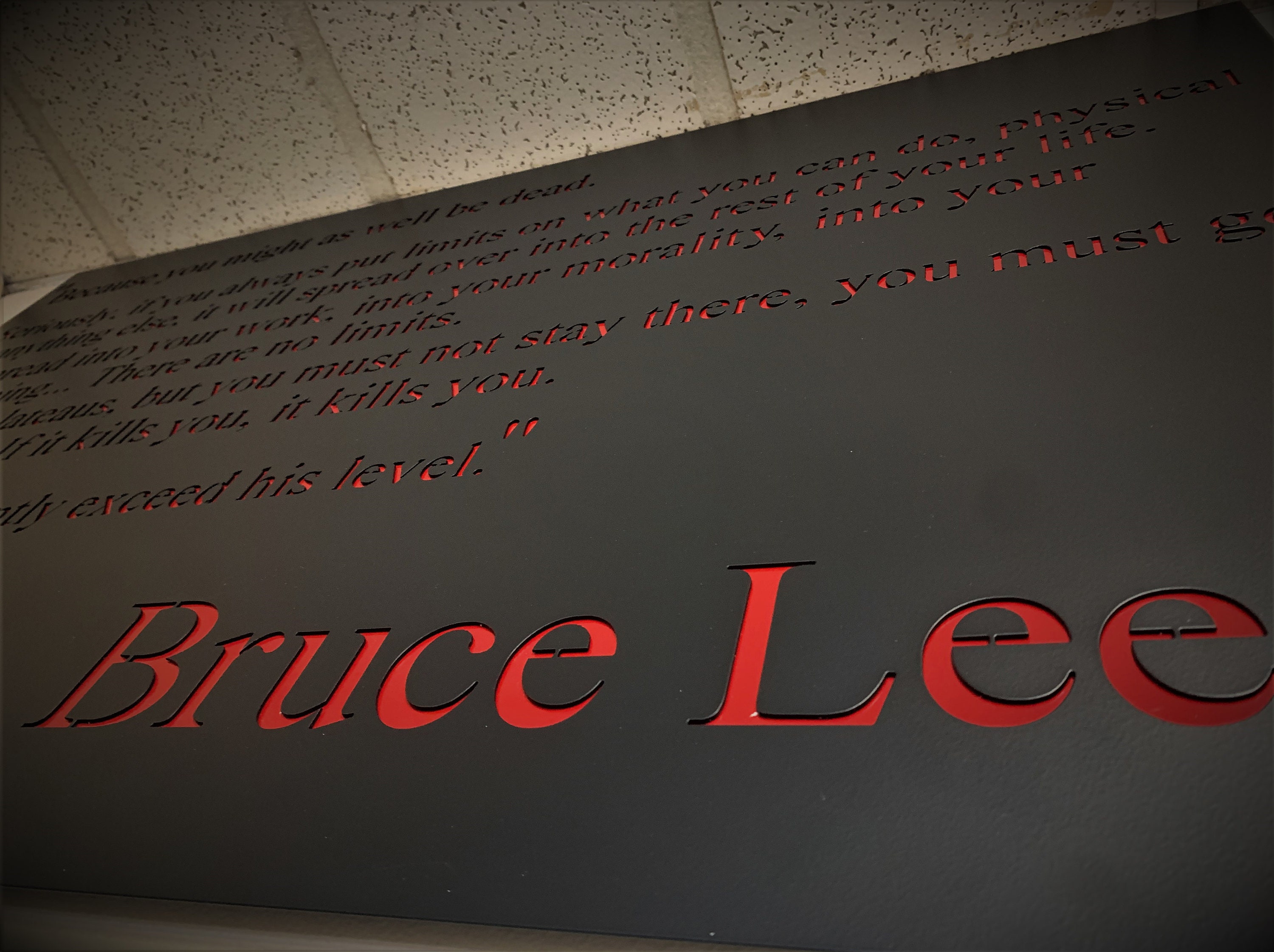 Bruce Lee Inspirational Quotes Metal Art - Etsy