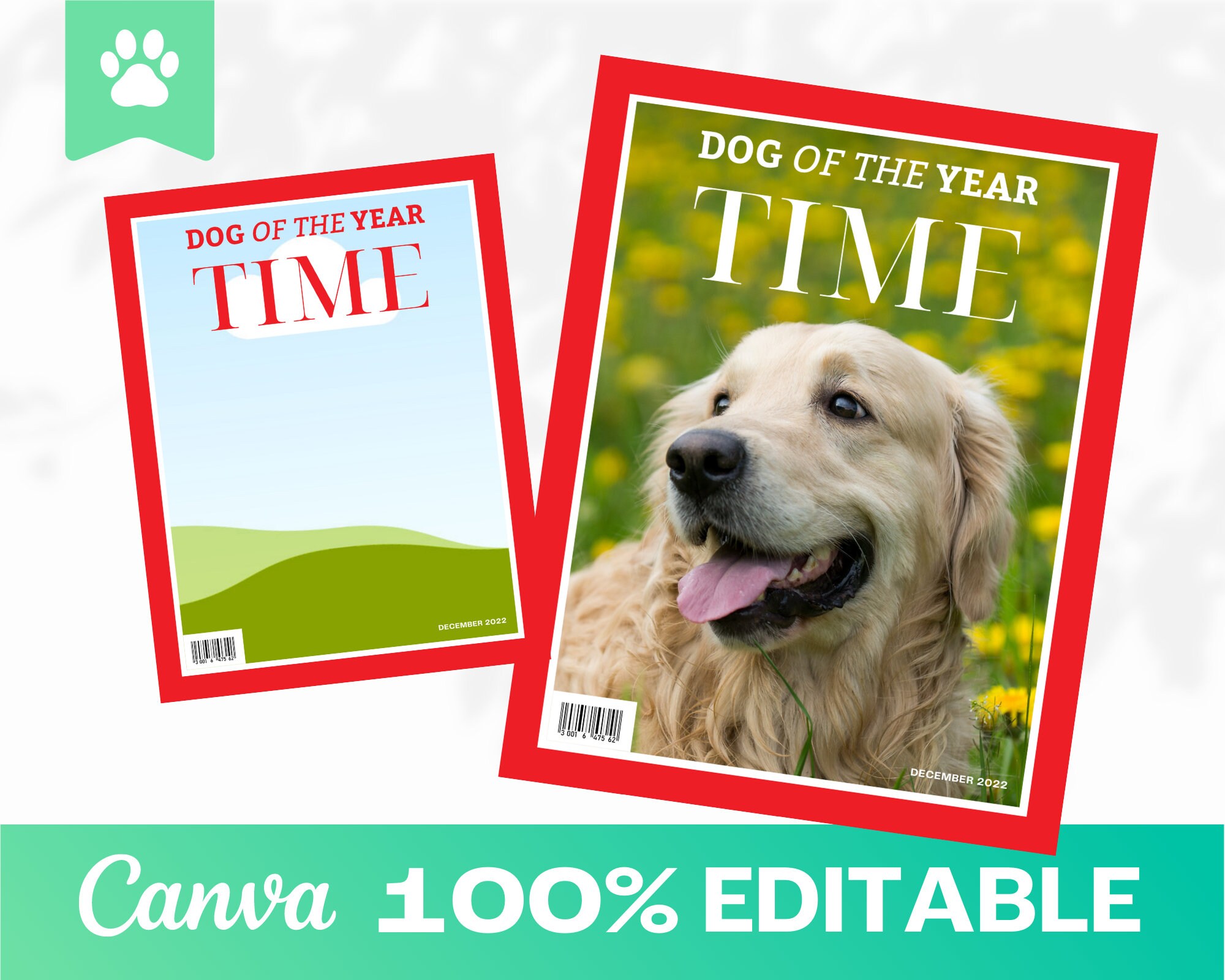 Time Magazine Cover Template 2022