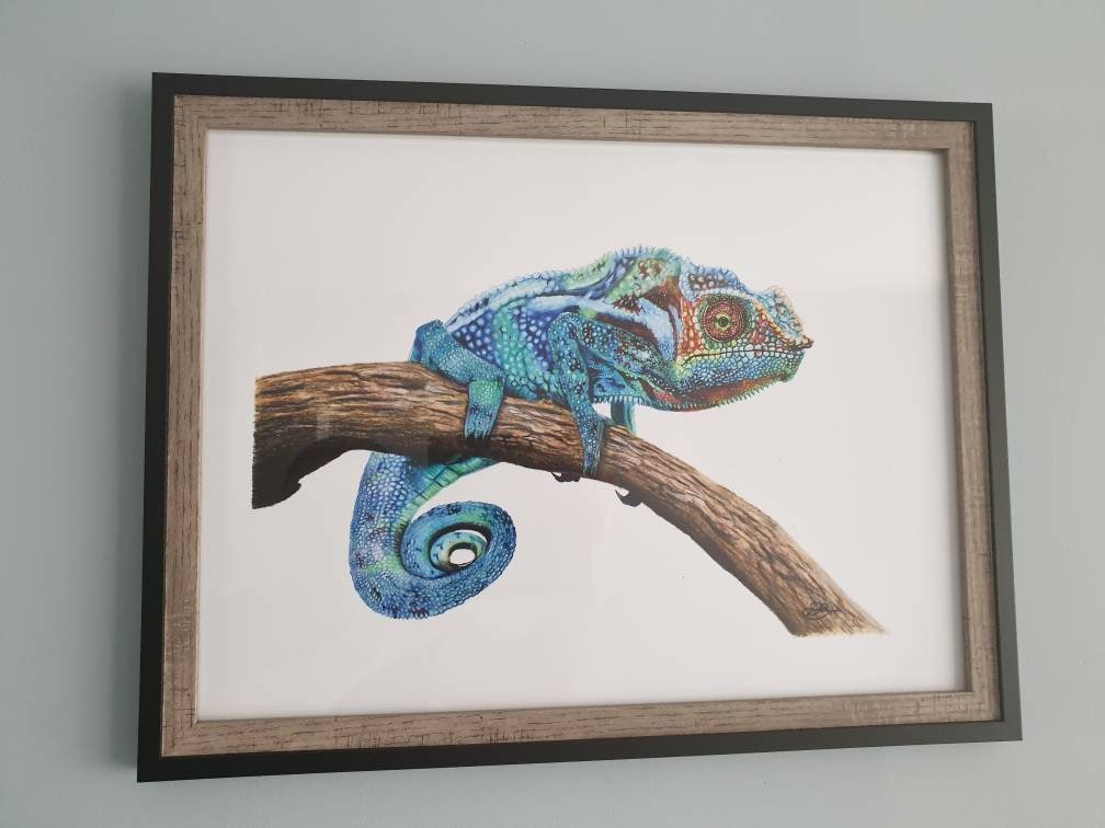 Chameleon Print, Chameleon Art, Chameleon Coloured Pencil Drawing - Etsy