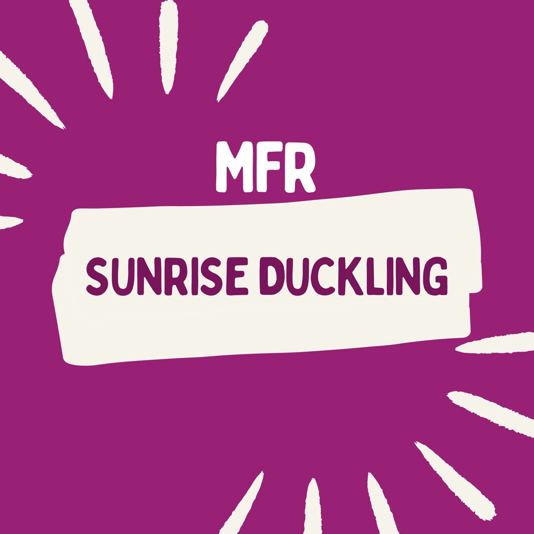 Sunrise Duckling Adopt Me Mega Neon Fly Ride - Etsy