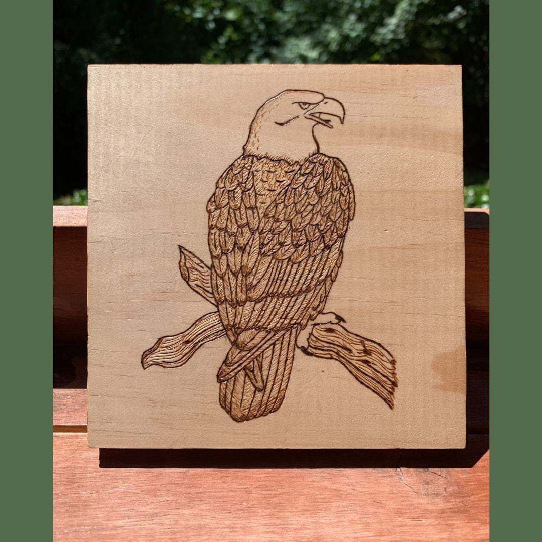Handmade Bald Eagle Wood Burning Wall Decoration - Etsy