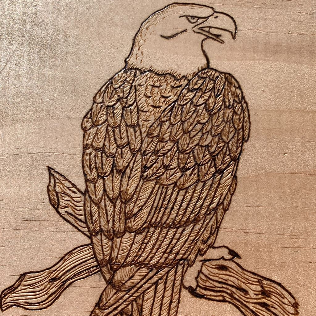 Handmade Bald Eagle Wood Burning Wall Decoration - Etsy