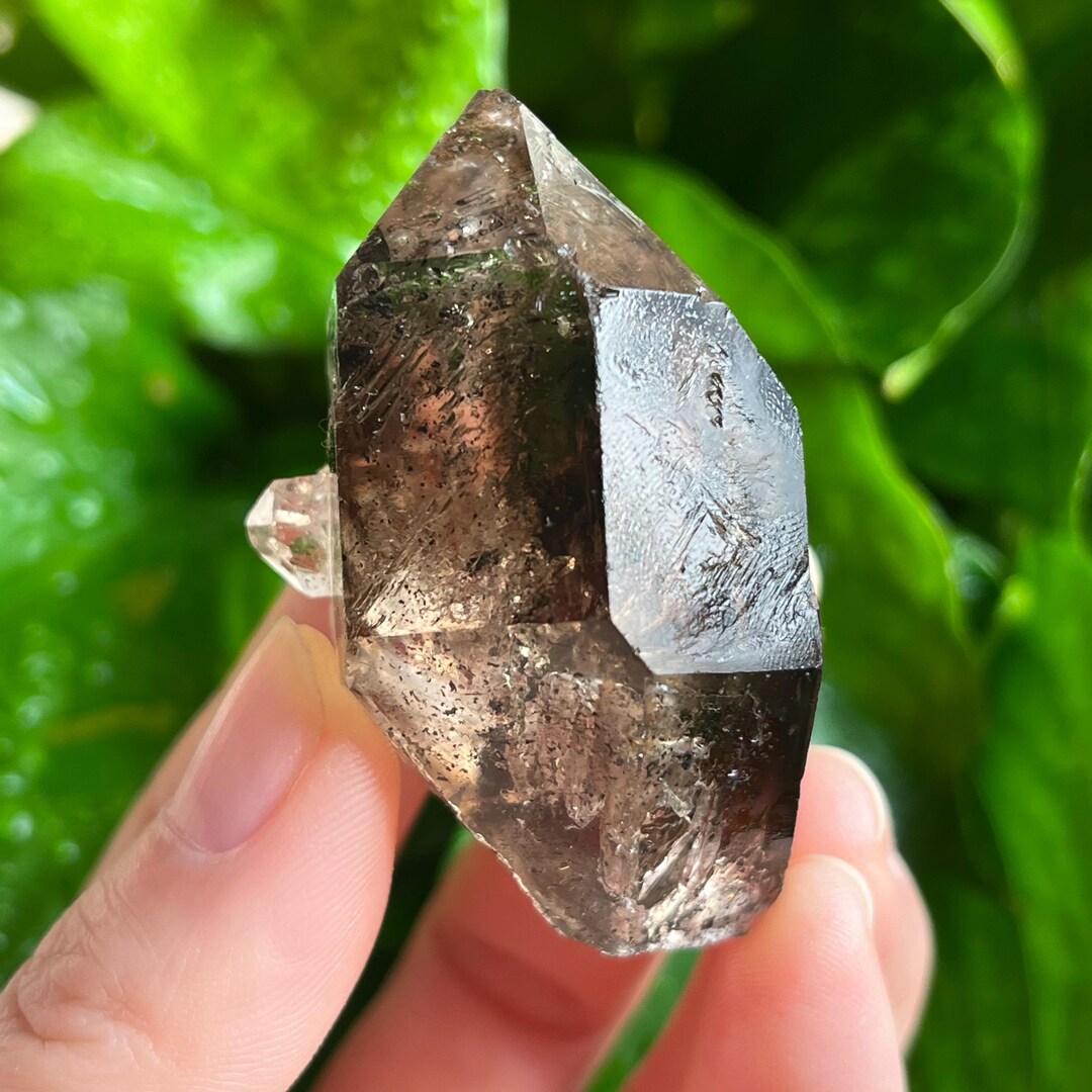Natural Smoky Skeletal Quartz Elestial Quartz Crystal Terminated Point ...