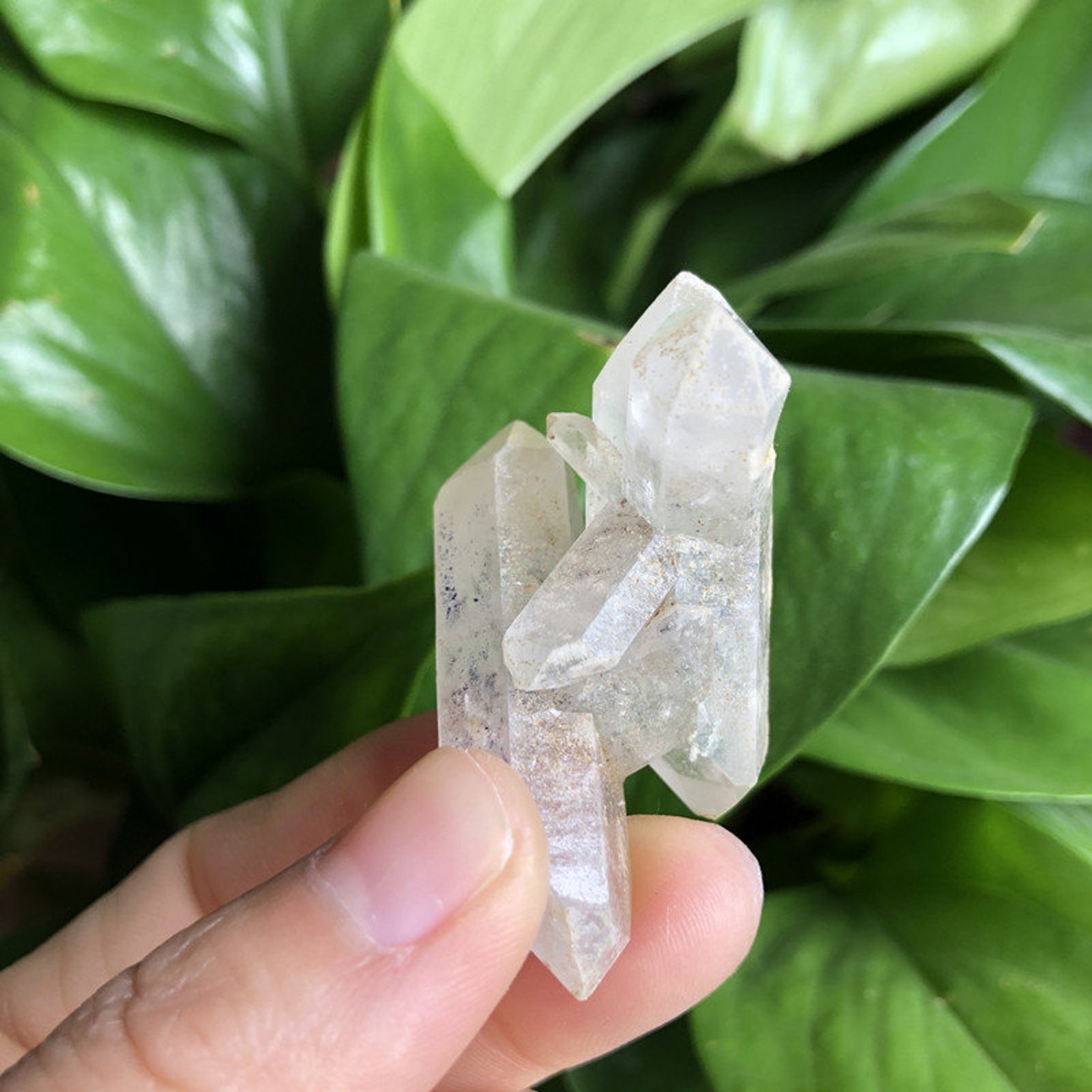 Natural Skeletal Quartz Elestial Quartz Crystal Double - Etsy