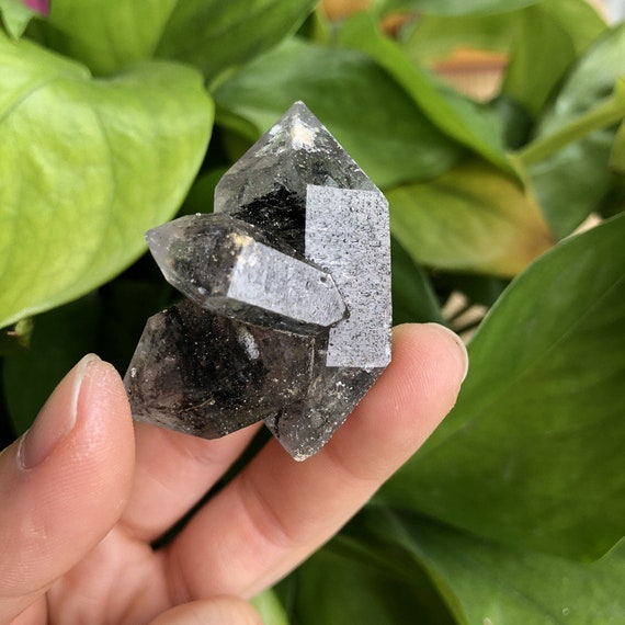 Natural Black Phantom Skeletal Quartz Elestial Quartz Crystal - Etsy