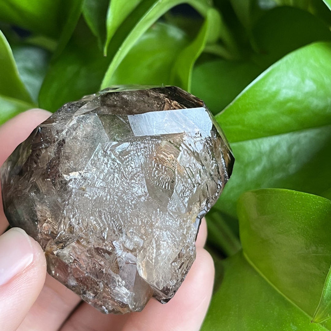 Natural Smoky Skeletal Quartz Elestial Quartz Crystal Terminated Point ...