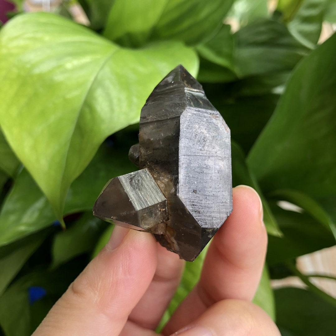 Natural Black Phantom Skeletal Quartz Elestial Quartz Crystal - Etsy