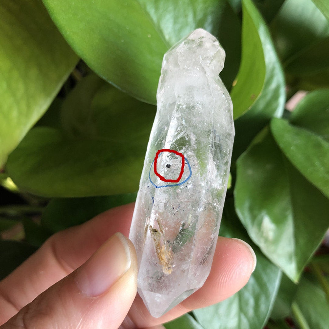 Natural Moving Water Bubble Quartz Crystal Enhydro Skeletal - Etsy
