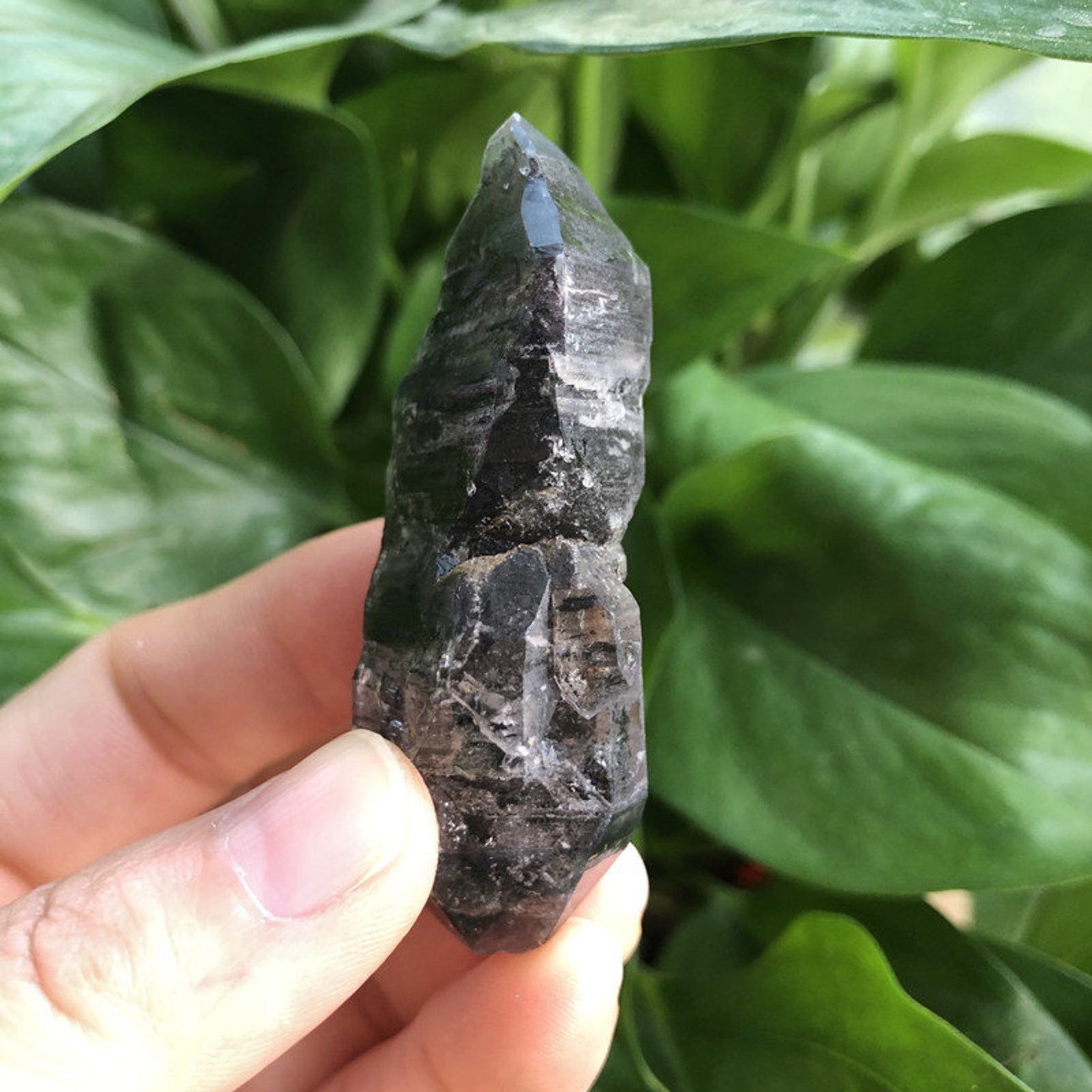 Natural Black Phantom Skeletal Quartz Elestial Quartz Crystal | Etsy