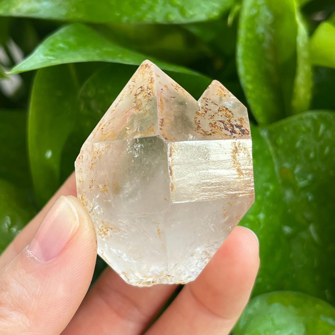 Natural Skeletal Quartz Elestial Quartz Crystal Terminated Point/wand Mineral Collection Reiki ...