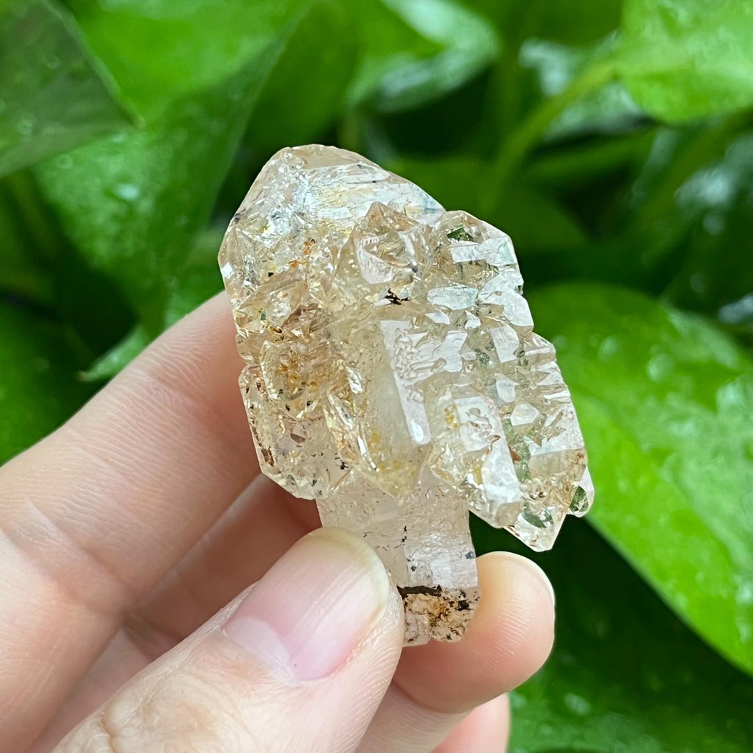 Natural Skeletal Quartz Elestial Quartz Crystal Terminated Point/wand ...