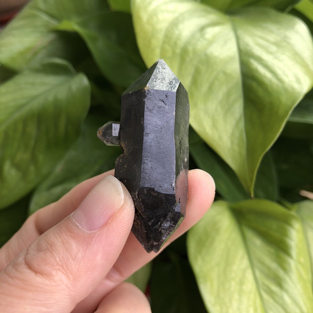 Natural Black Phantom Skeletal Quartz Elestial Quartz Crystal - Etsy