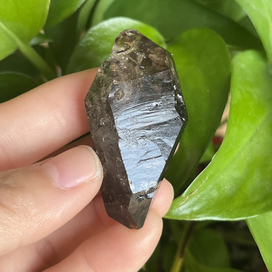 Natural Smoky Skeletal Quartz Elestial Quartz Crystal Terminated Point ...