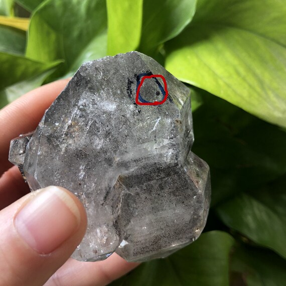 Natural Moving Water Bubble Quartz Crystal Enhydro Skeletal | Etsy