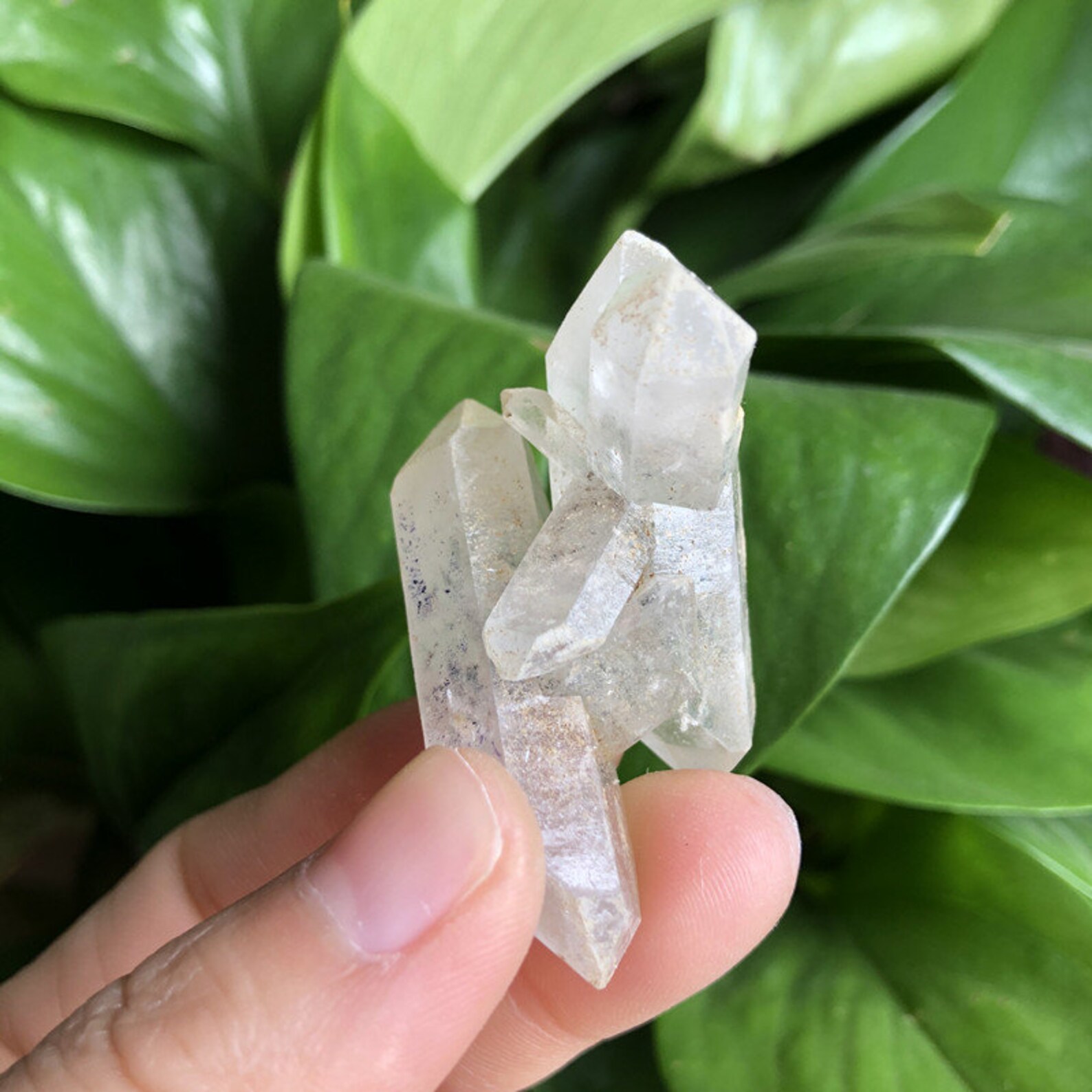 Natural Skeletal Quartz Elestial Quartz Crystal Double - Etsy