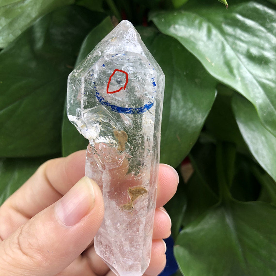 Natural Moving Water Bubble Quartz Crystal Enhydro Skeletal | Etsy