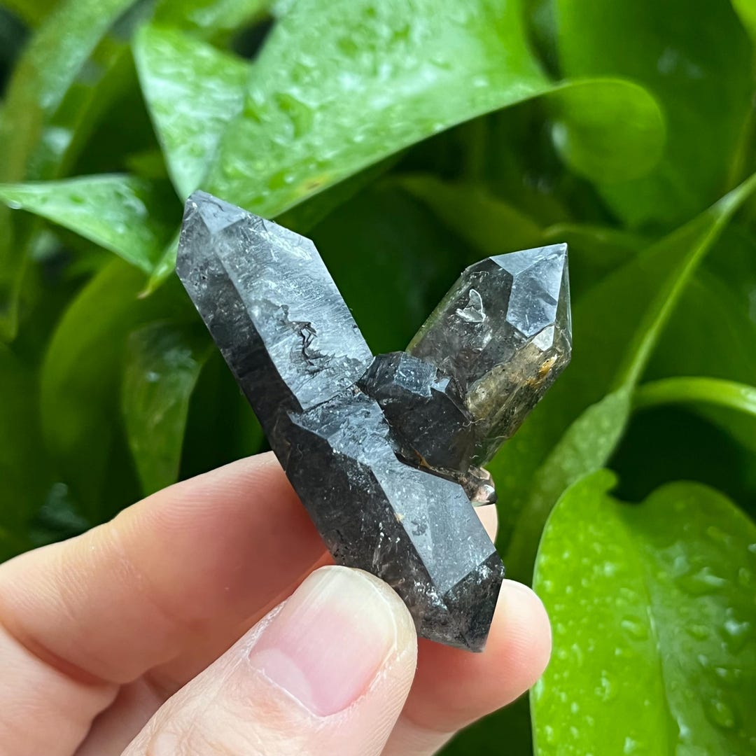 Natural Black Phantom Skeletal Quartz Elestial Quartz Crystal ...