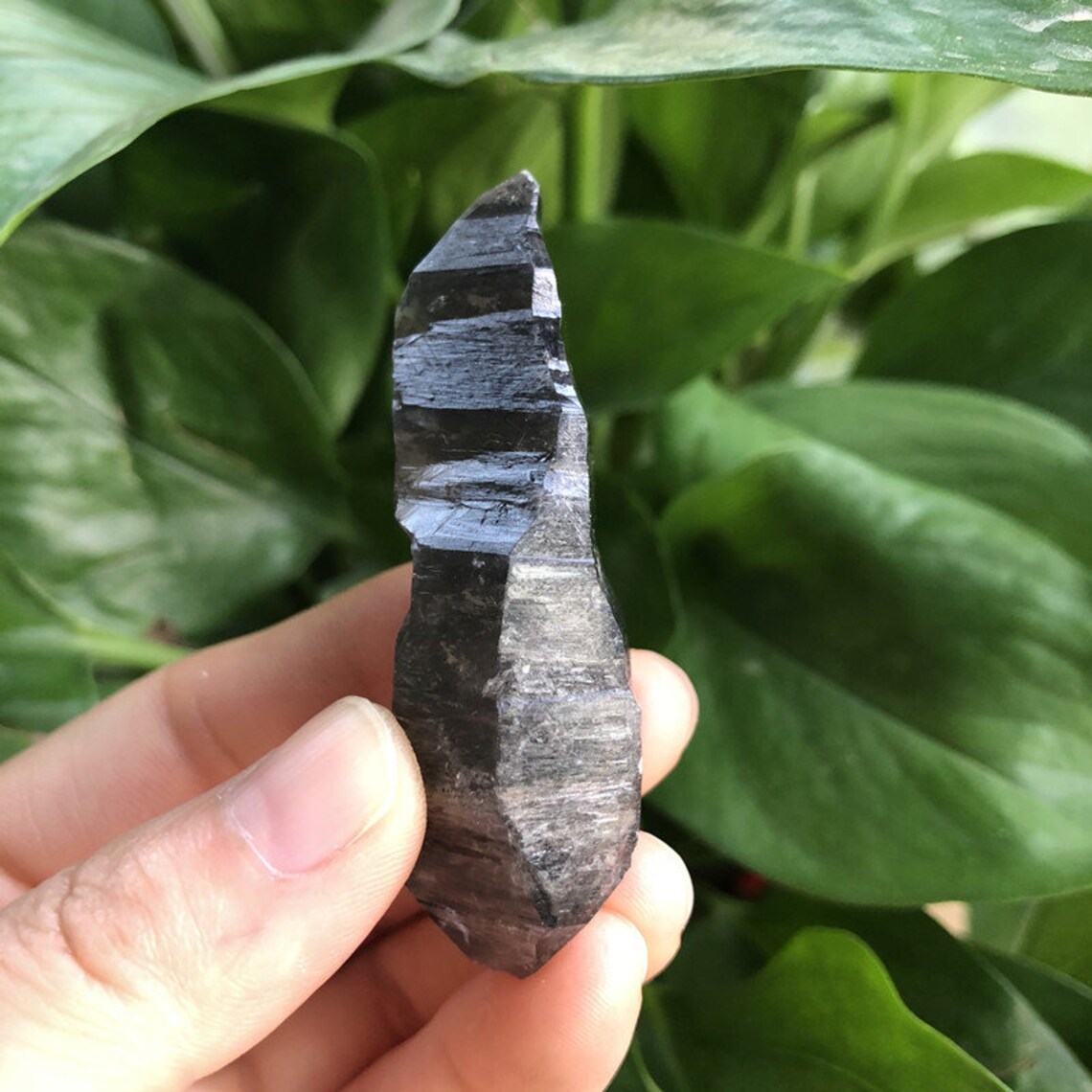 Natural Black Phantom Skeletal Quartz Elestial Quartz Crystal | Etsy