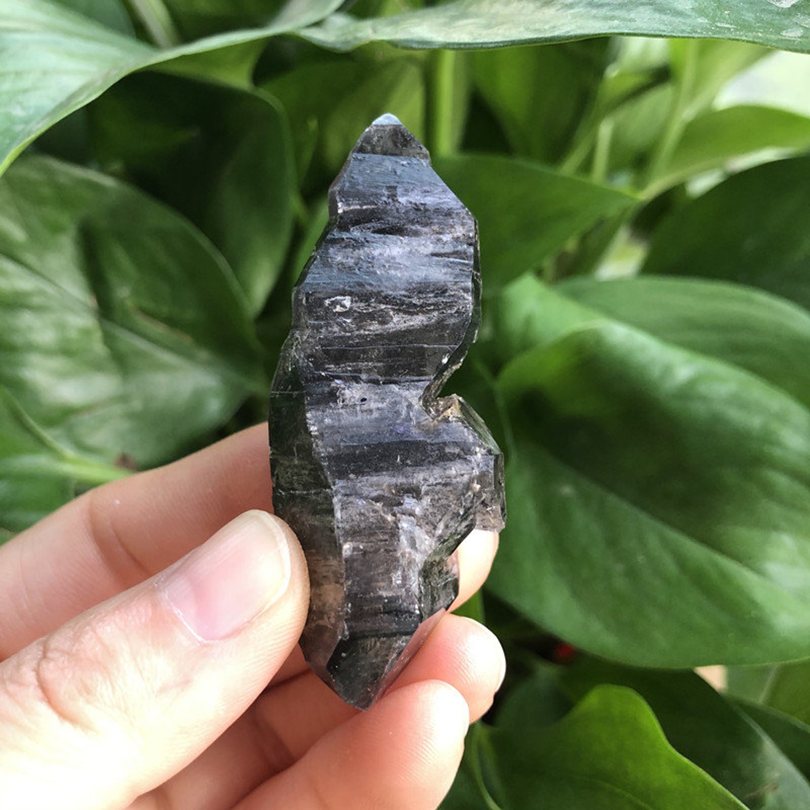 Natural Black Phantom Skeletal Quartz Elestial Quartz Crystal - Etsy