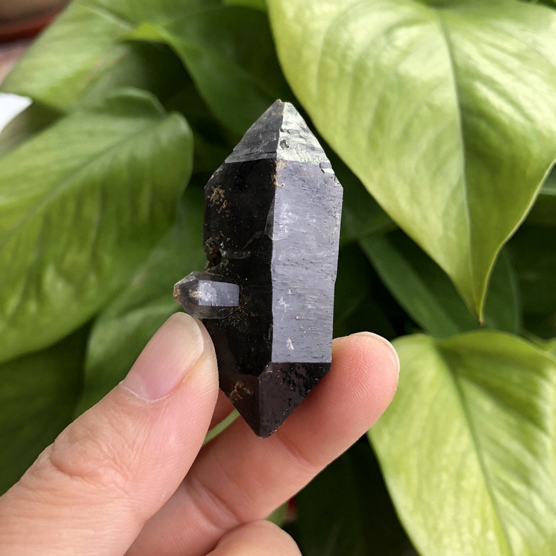 Natural Black Phantom Skeletal Quartz Elestial Quartz Crystal - Etsy
