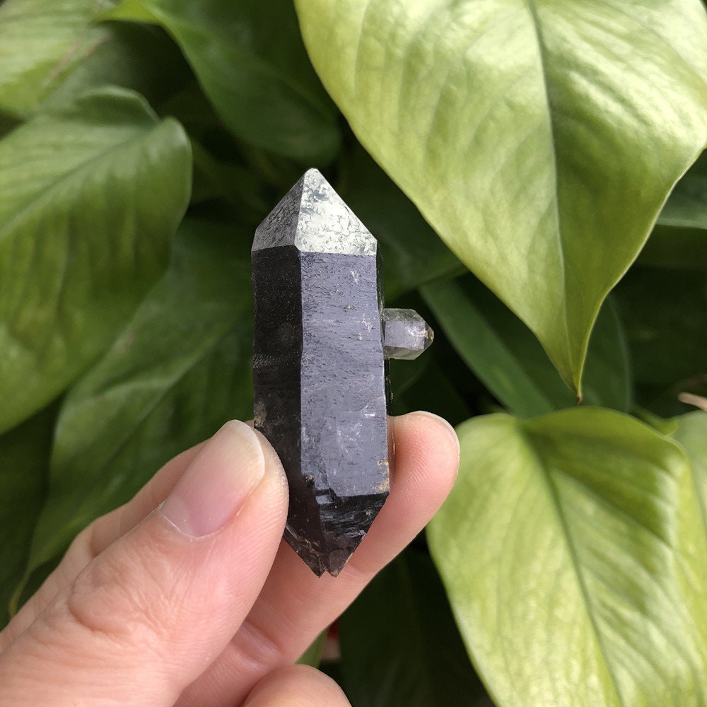 Natural Black Phantom Skeletal Quartz Elestial Quartz Crystal - Etsy